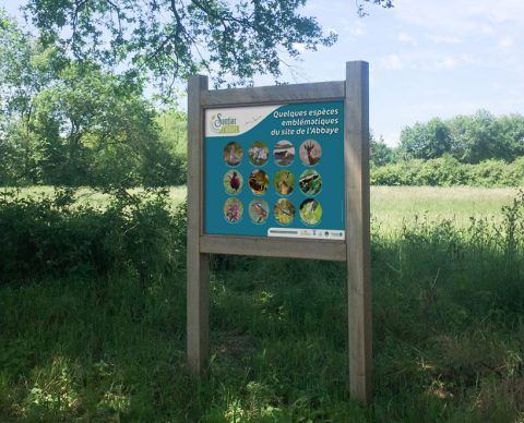 Création de Panneaux - Panneaux pédagogiques - Ecorce Graphique